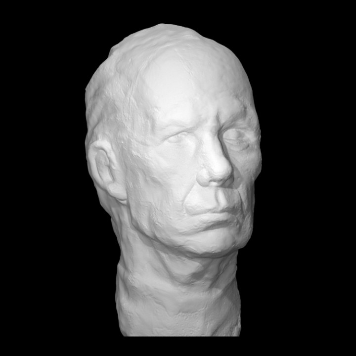 3D Printable Self-portrait by Scan The World
