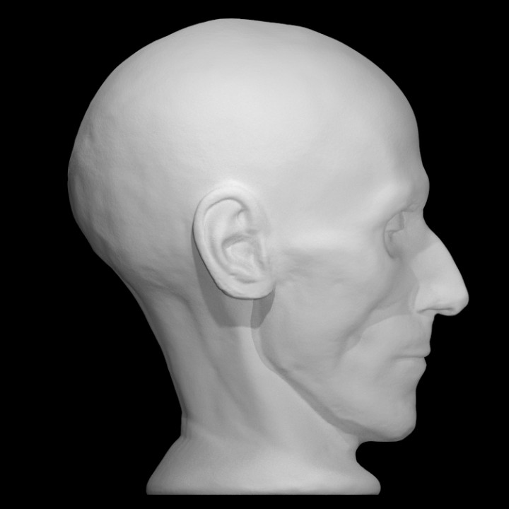 3D Printable Dr Andrew Combe by Anatomical Museum