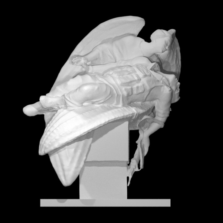 3D Printable Eternal memory by Scan The World