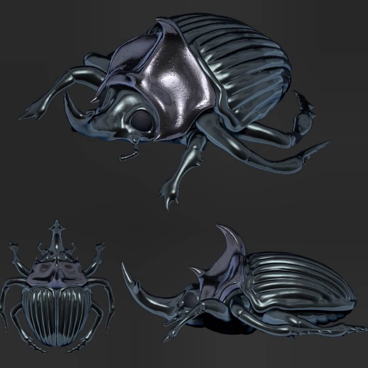 3D Printable Beetle by Anton Berngarn-Wallerstedt