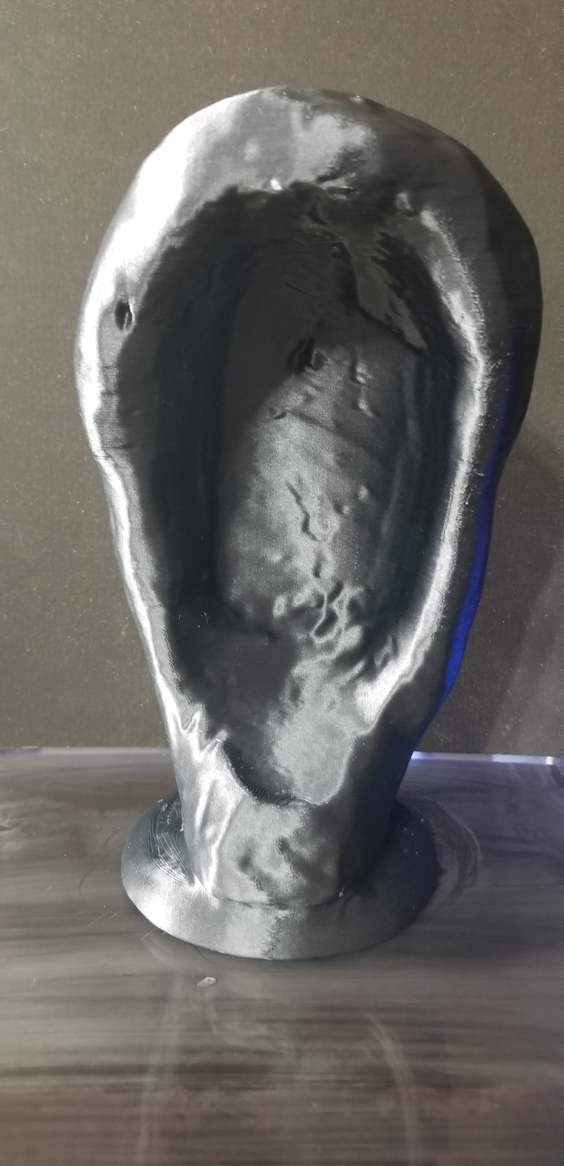 3D Printable 'Male of Madagascar' by Anatomical Museum
