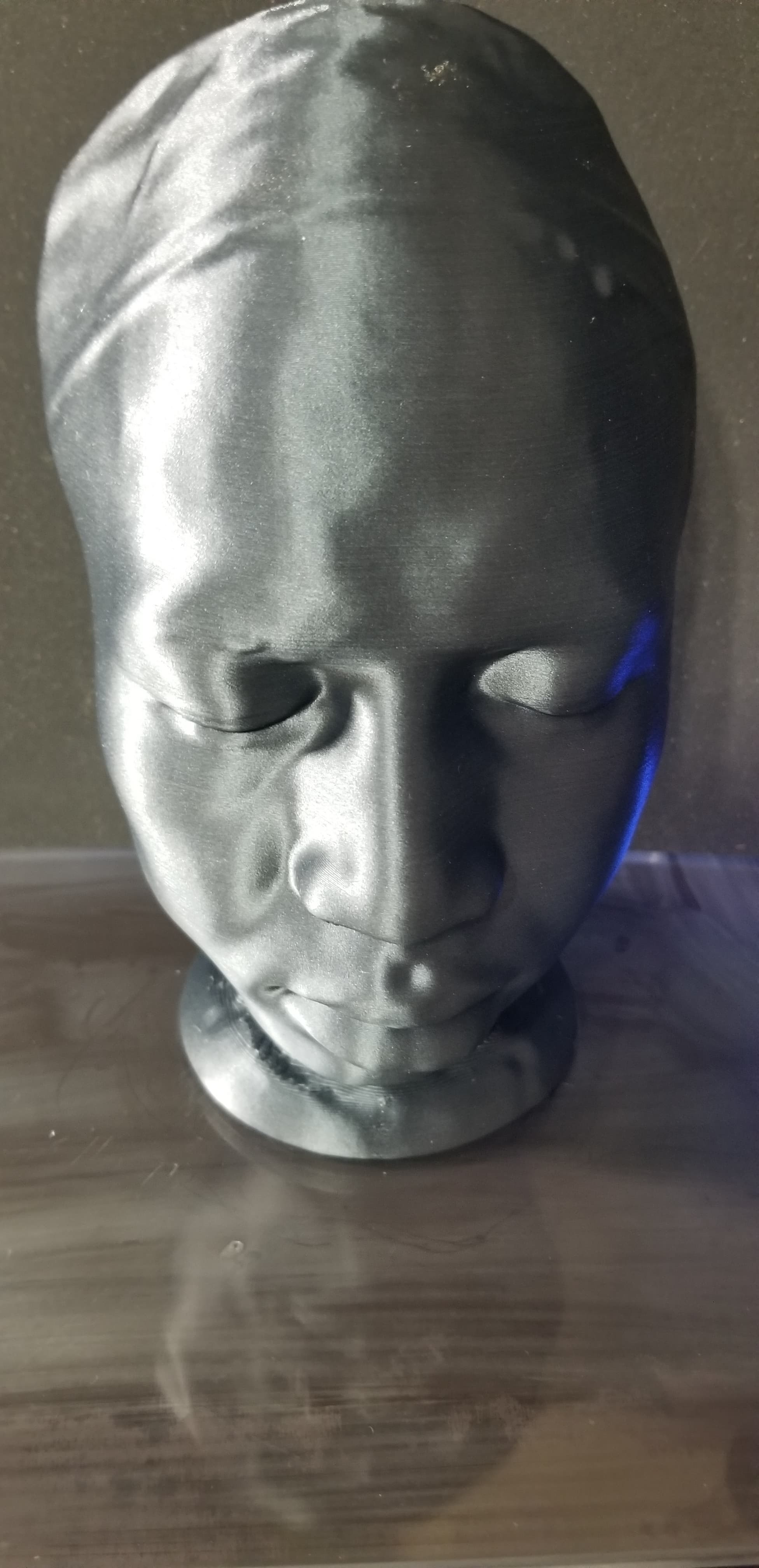 3D Printable 'Male of Madagascar' by Anatomical Museum