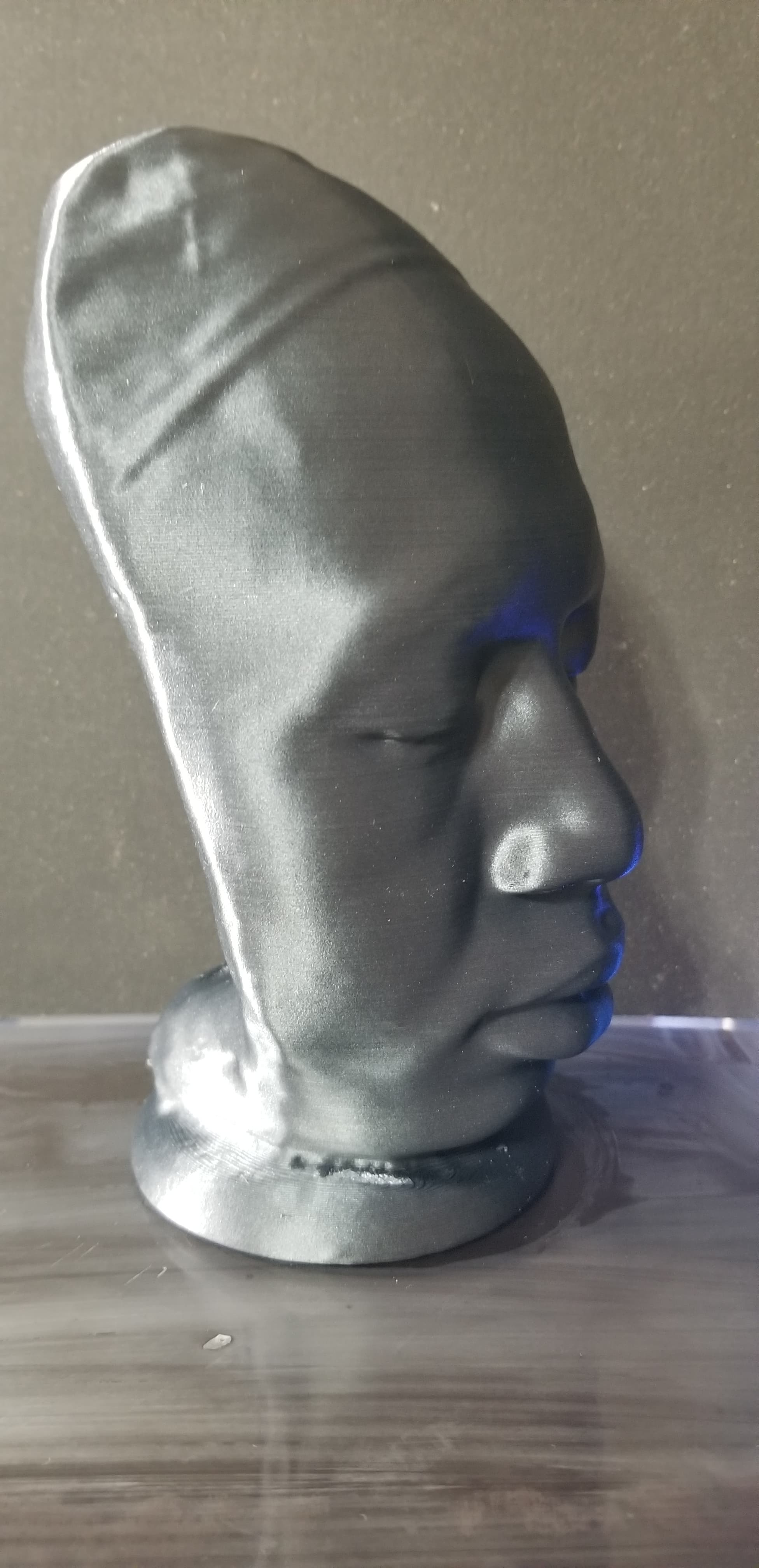 3D Printable 'Male of Madagascar' by Anatomical Museum