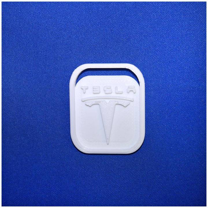 3D Printable Tesla by Tipo Coiso