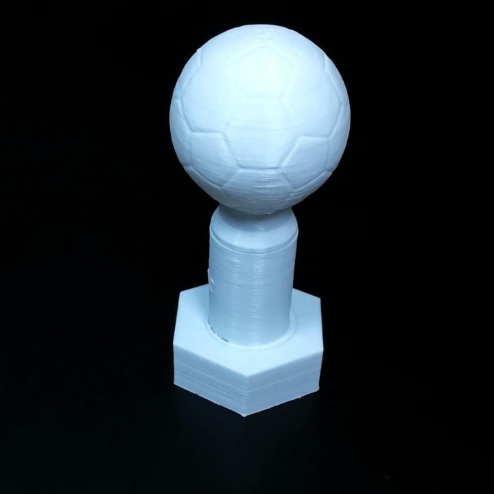 3D Printable soccer trophy by ethan
