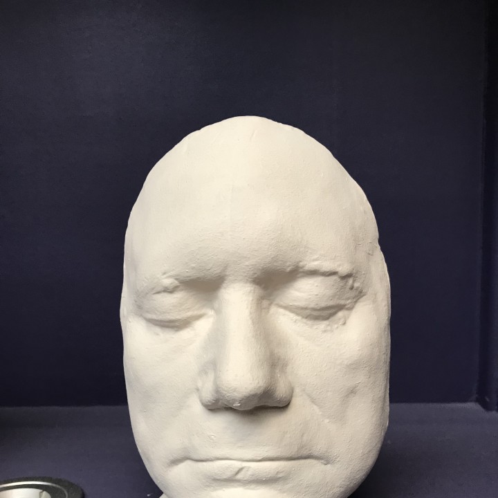 3D Printable John Horne Tooke by Anatomical Museum