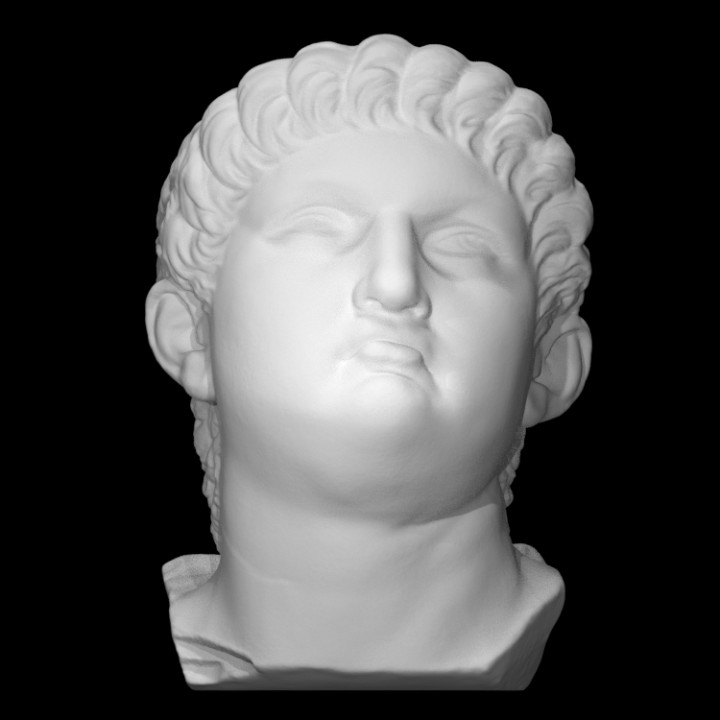 3D Printable Nero by Anatomical Museum