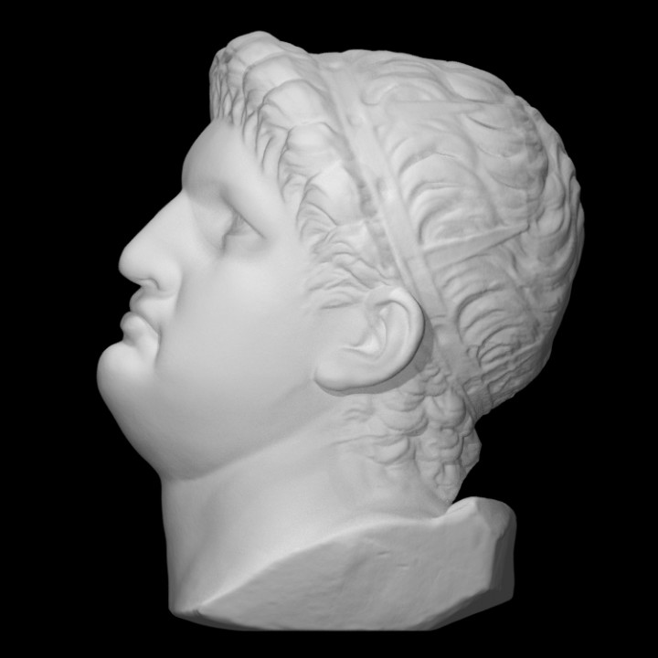 3D Printable Nero by Anatomical Museum