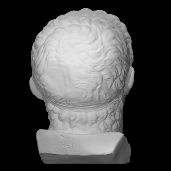 3D Printable Nero by Anatomical Museum
