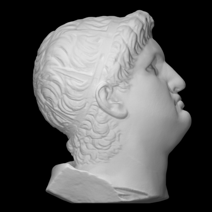 3D Printable Nero by Anatomical Museum