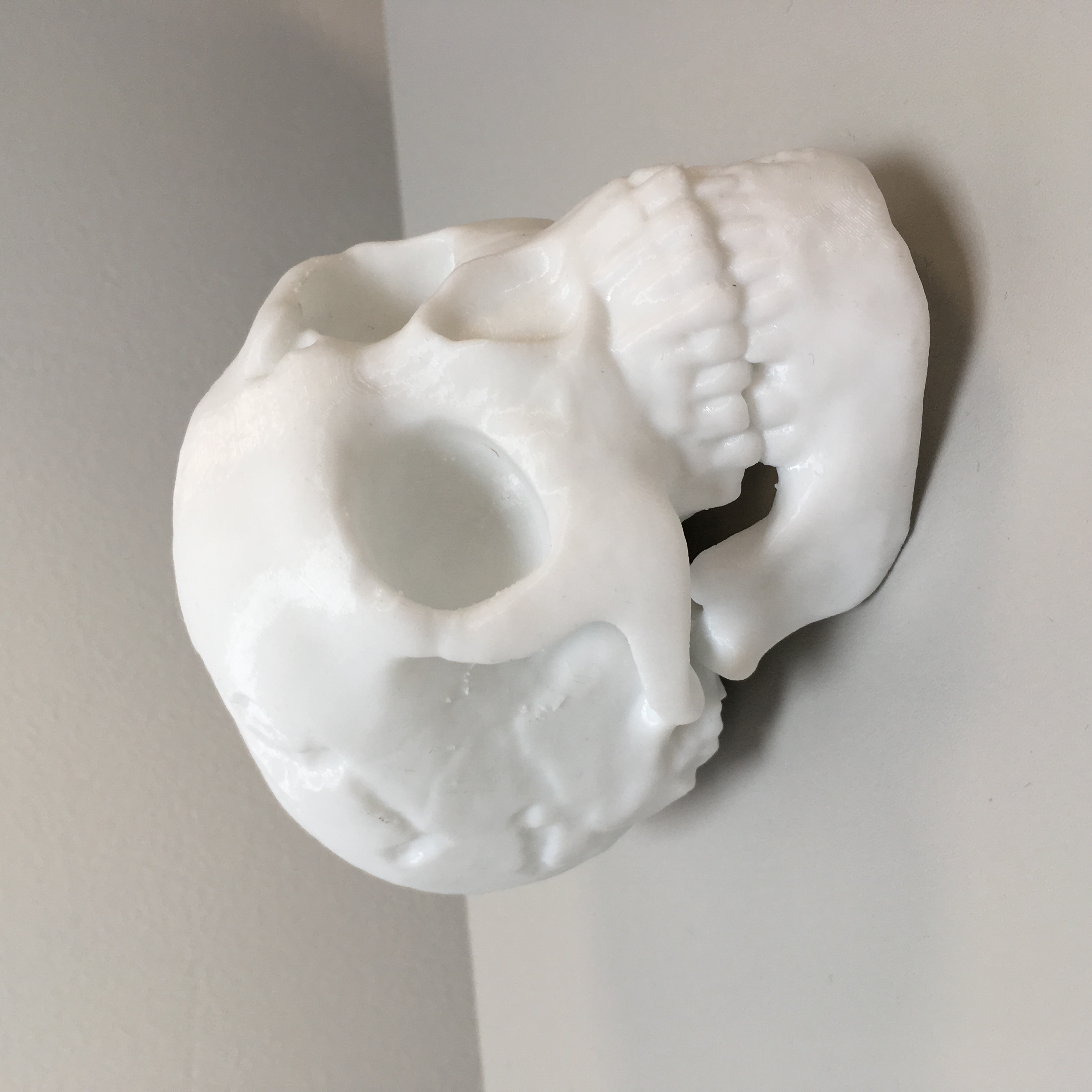3D Printable Neanderthal skull by Anatomical Museum