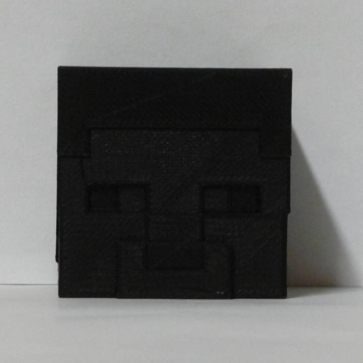 3D Printable Steve's head by Groonklie
