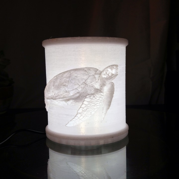 3D Printable Turtle Lithophane Lamp by Adam