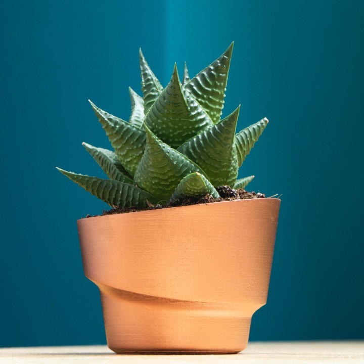 3D Printable The Fancy - Flower pot by Clement C.