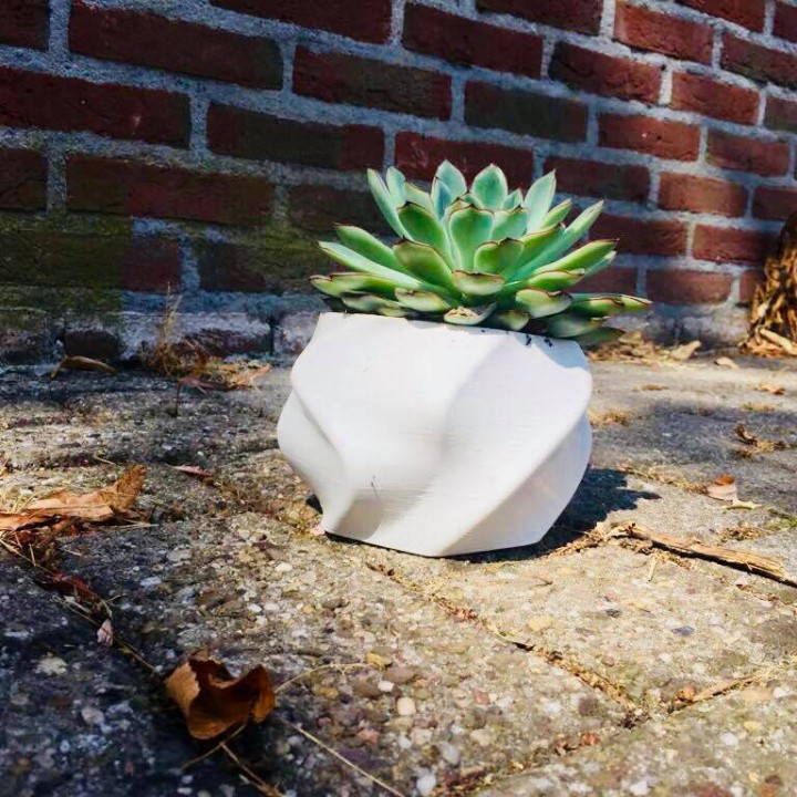 3D Printable twisted flower pot by Dennis Prijs