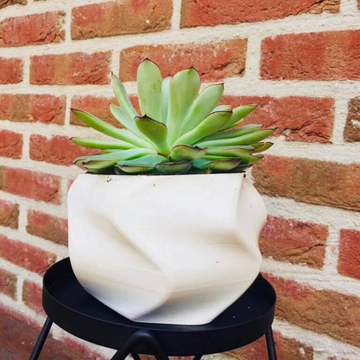 3D Printable twisted flower pot by Dennis Prijs