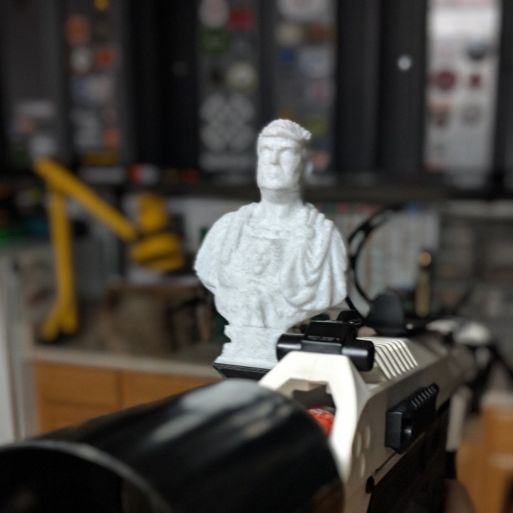 3D Printable Rail Mounted Trump by Anson Biggs