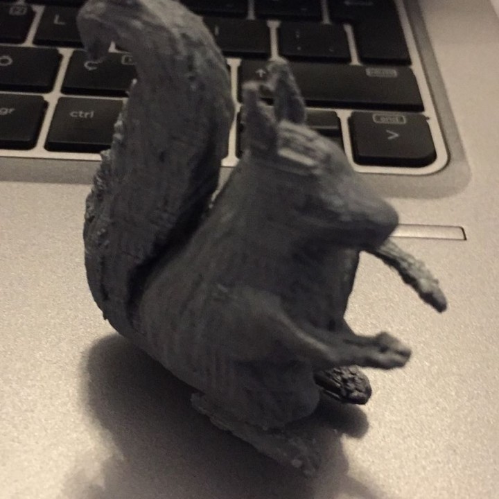 3D Printable Squirrel (key holder) by Hüseyin
