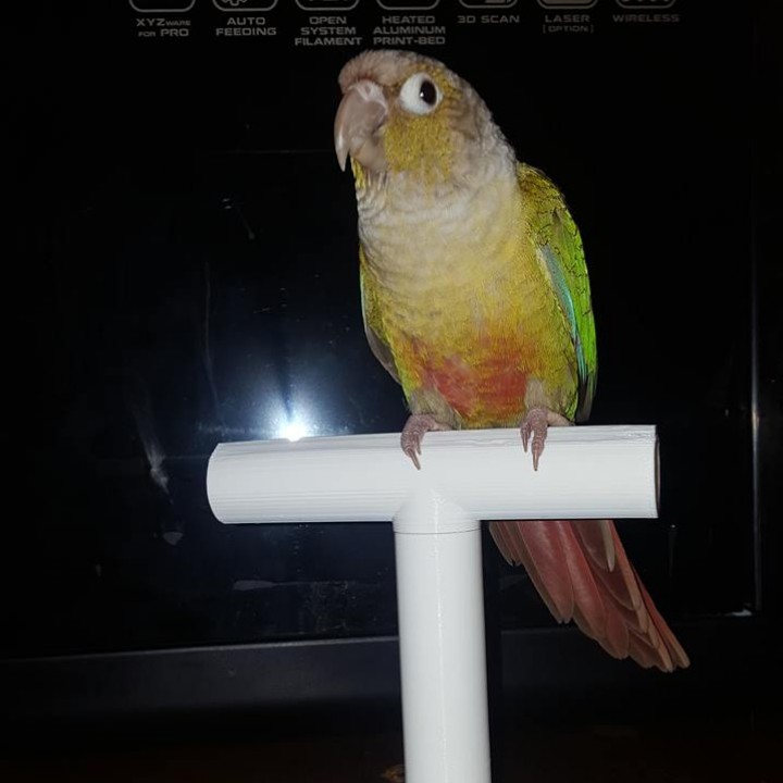 3D Printable Desktop Small Bird Perch by Tori Leigh