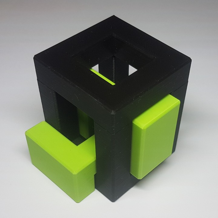 3D Printable Identical Twins 3D Puzzle by Felix Schuler