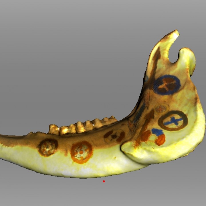 3D Printable Buffalo Jawbone Scan - Native American Weapon by Chris ...