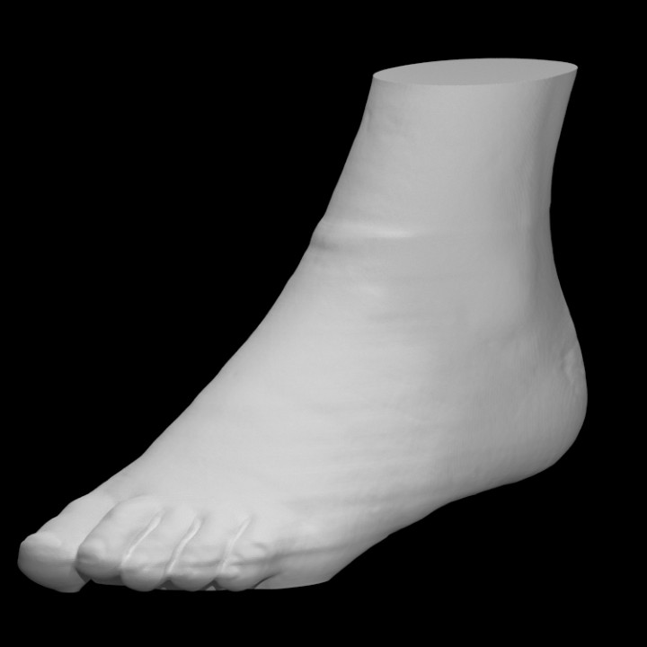 3D Printable Skin surface of a foot by Scan The World