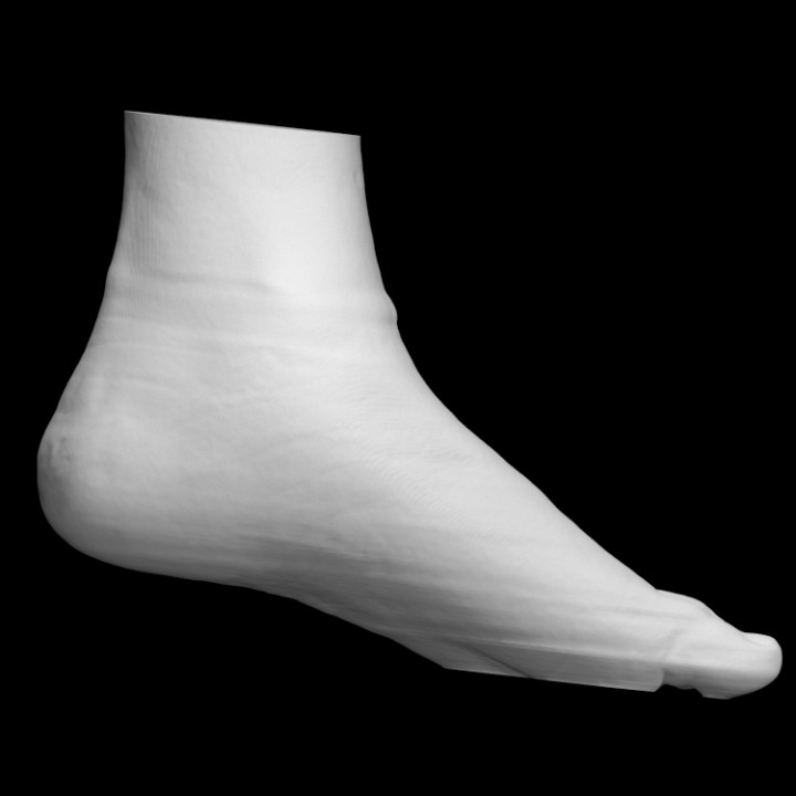 3D Printable Skin surface of a foot by Scan The World