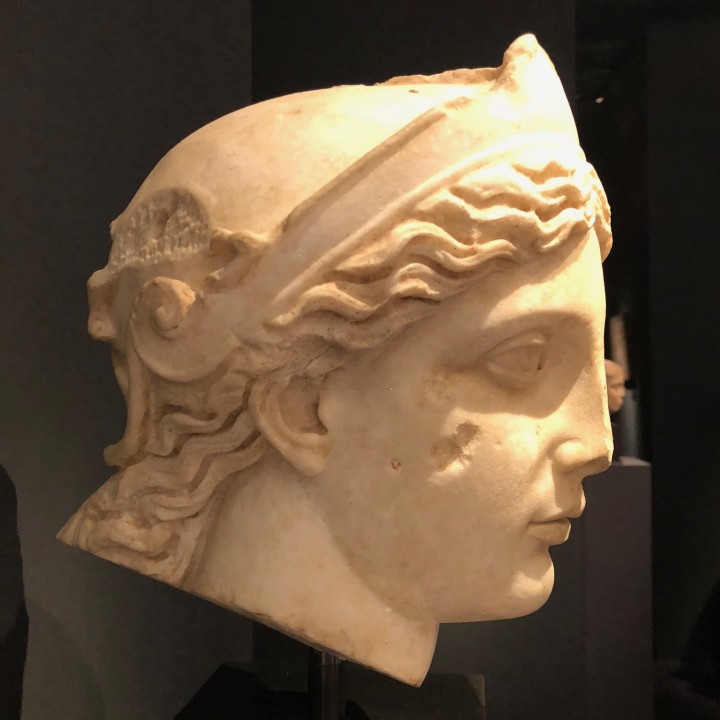 3D Printable Head of Minerva by Scan The World
