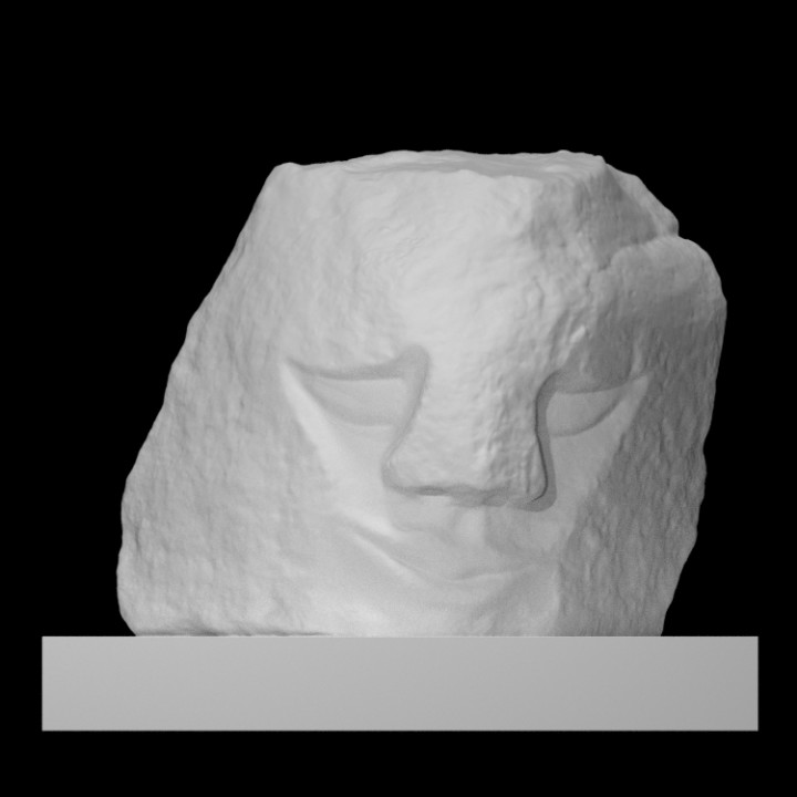 3D Printable Face by Scan The World