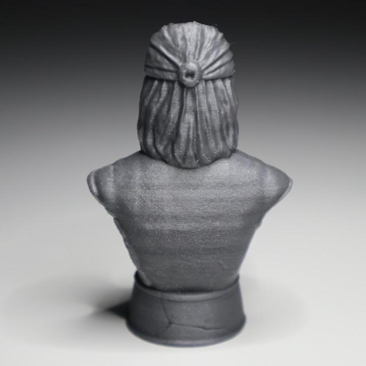 3D Printable Arya Stark Bust - Game of Thrones by Fotis Mint Studios