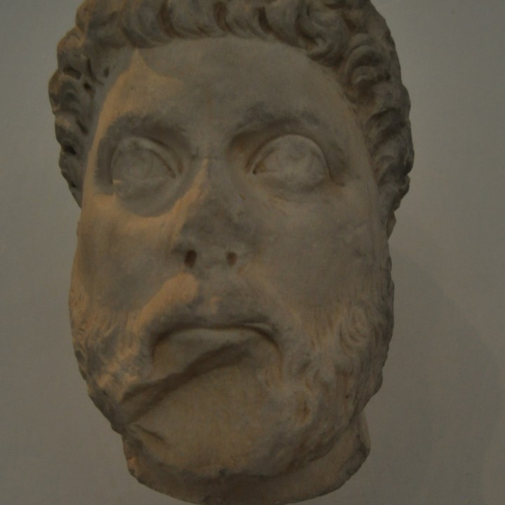 3D Printable Unknown man's head by Scan The World