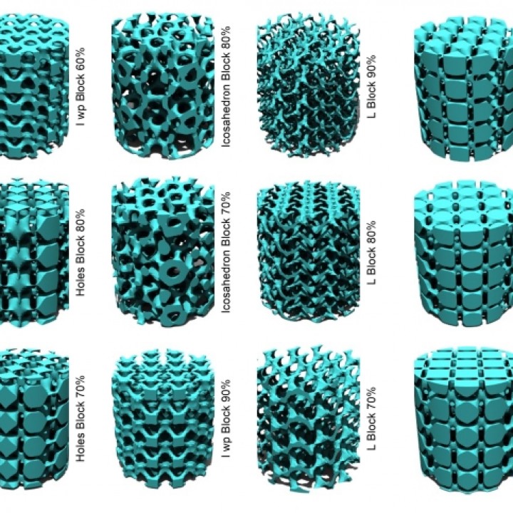 3D Printable Maths Models: Triply Periodic Minimal Surface Structures ...