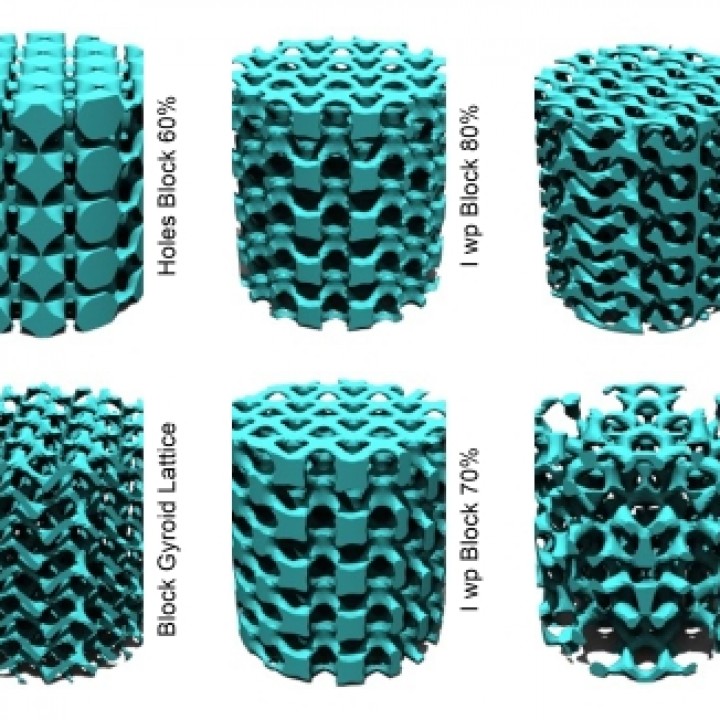 3D Printable Maths Models: Triply Periodic Minimal Surface Structures ...