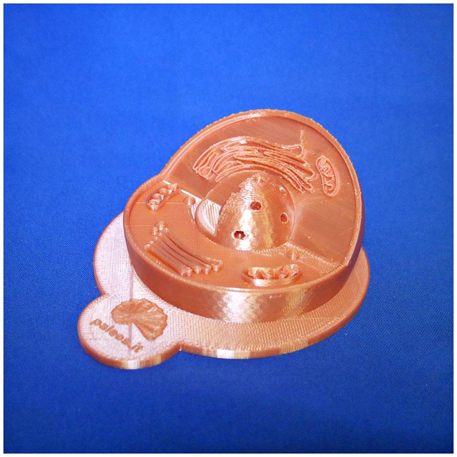 3D Printable Animal Cell by David Portelli