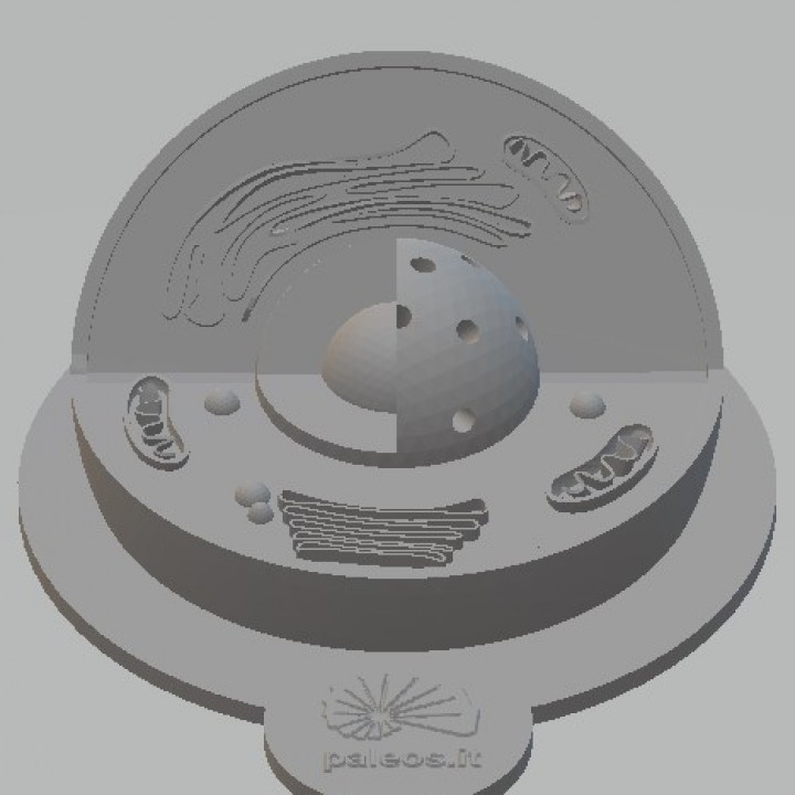 3D Printable Animal Cell by David Portelli