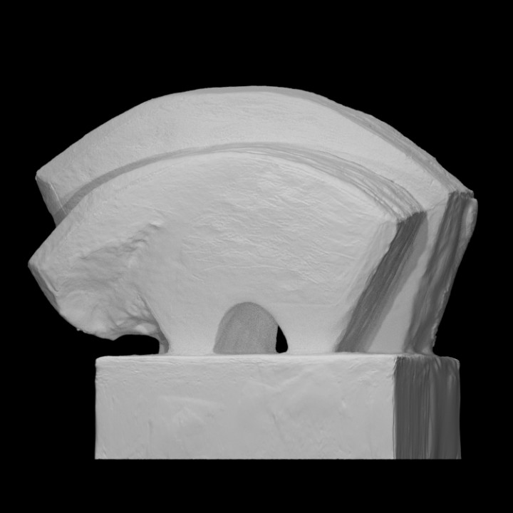 3D Printable Abstract sculpture by Scan The World