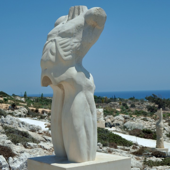 3D Printable Abstract male torso by Scan The World