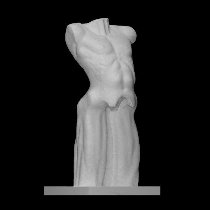 3D Printable Abstract male torso by Scan The World