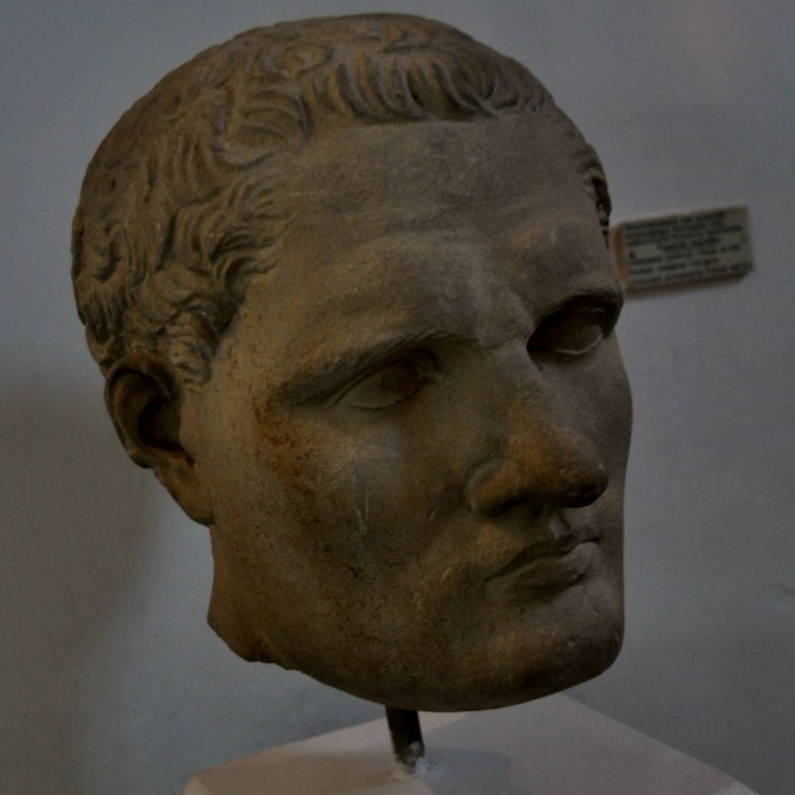 3D Printable Head of Caligula by Scan The World