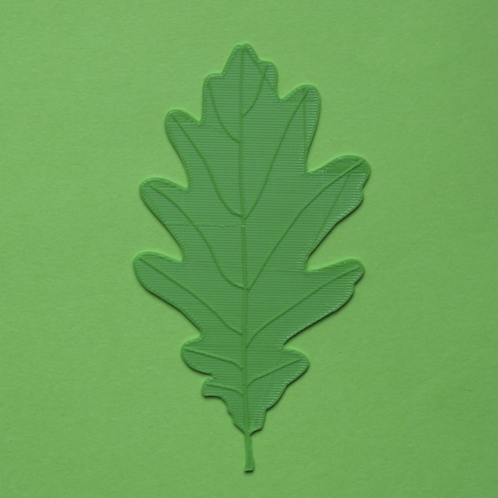 3D Printable Oak tree leaf by David Bogataj