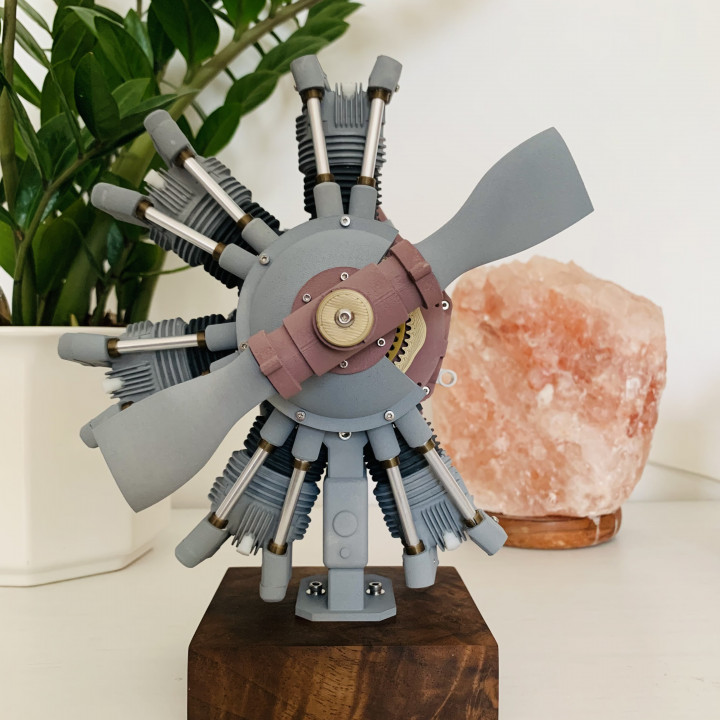 3D Print of Radial Engine, 7-Cylinders, Cutaway by Battom