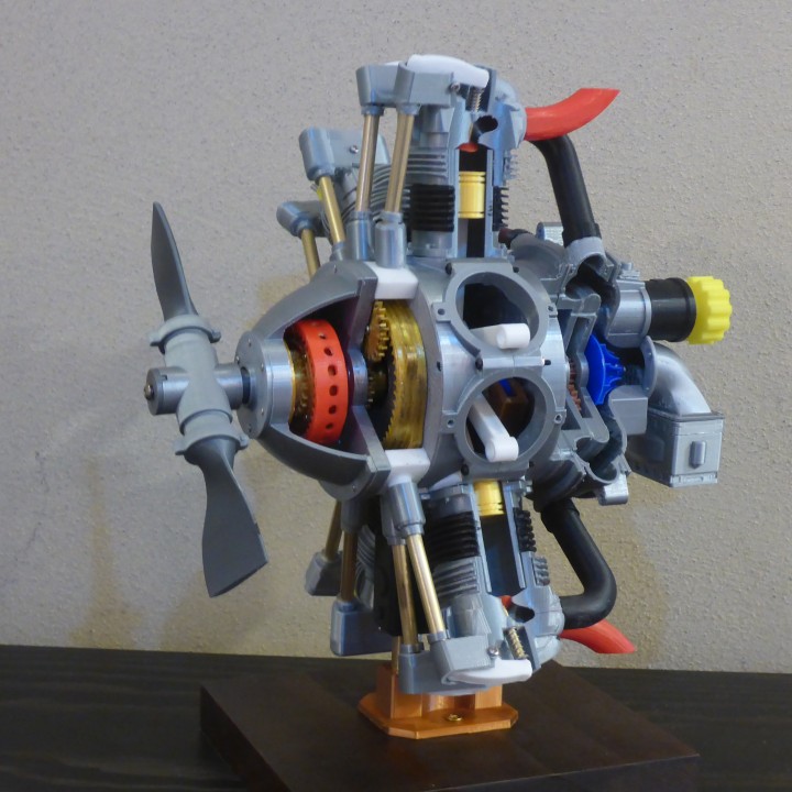 3D Print of Radial Engine, 7-Cylinders, Cutaway by hrburak