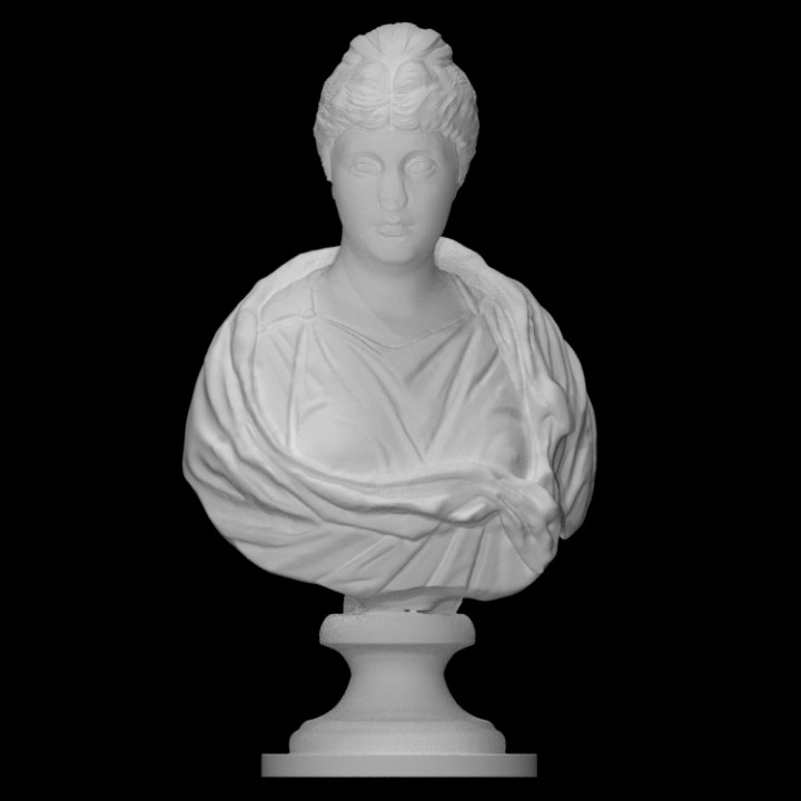 3D Printable Bust of a woman by Scan The World