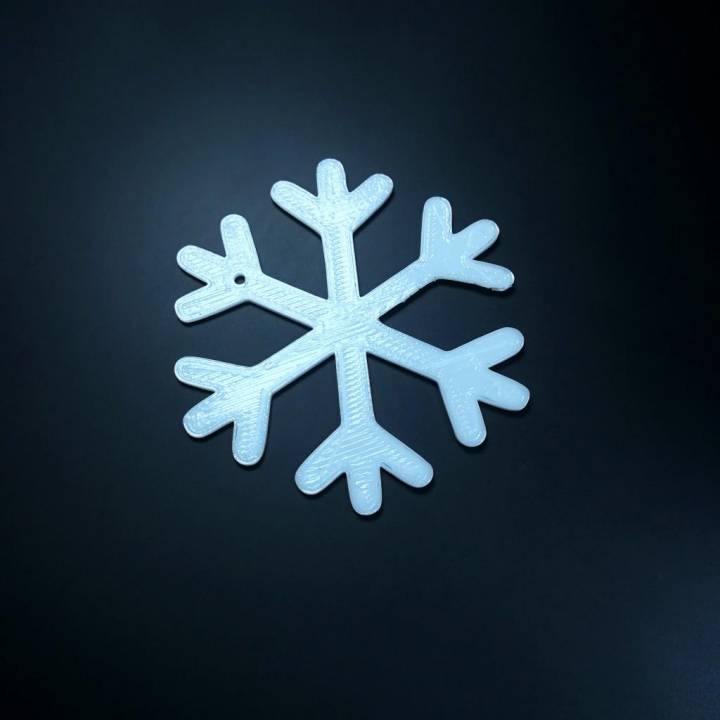 3D Printable snowflake by James