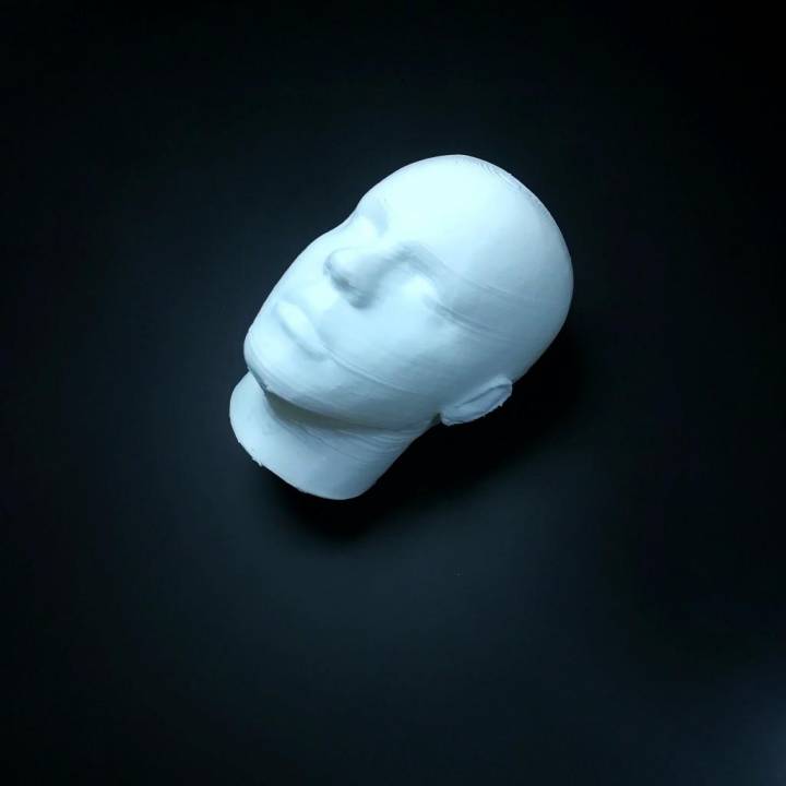 3D Printable Human Head More detailed by Dan