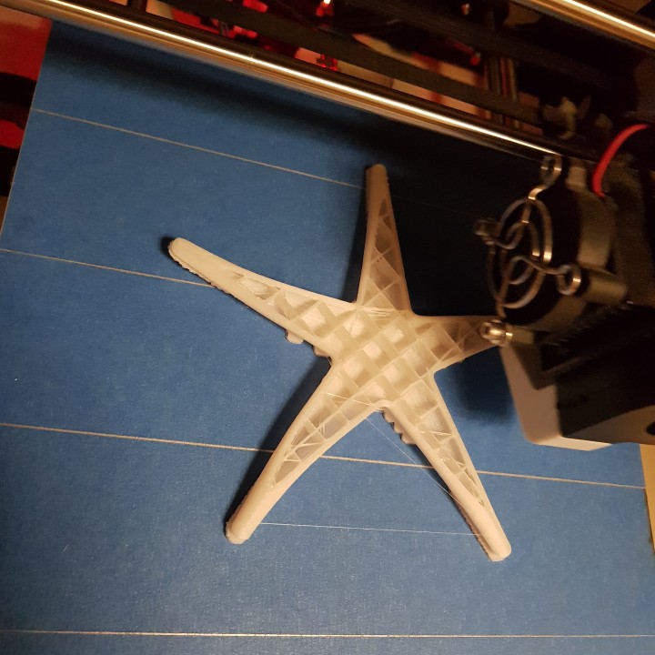 3D Printable starfish by murat uğur