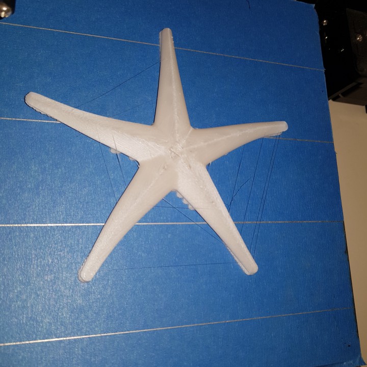 3D Printable starfish by murat uğur