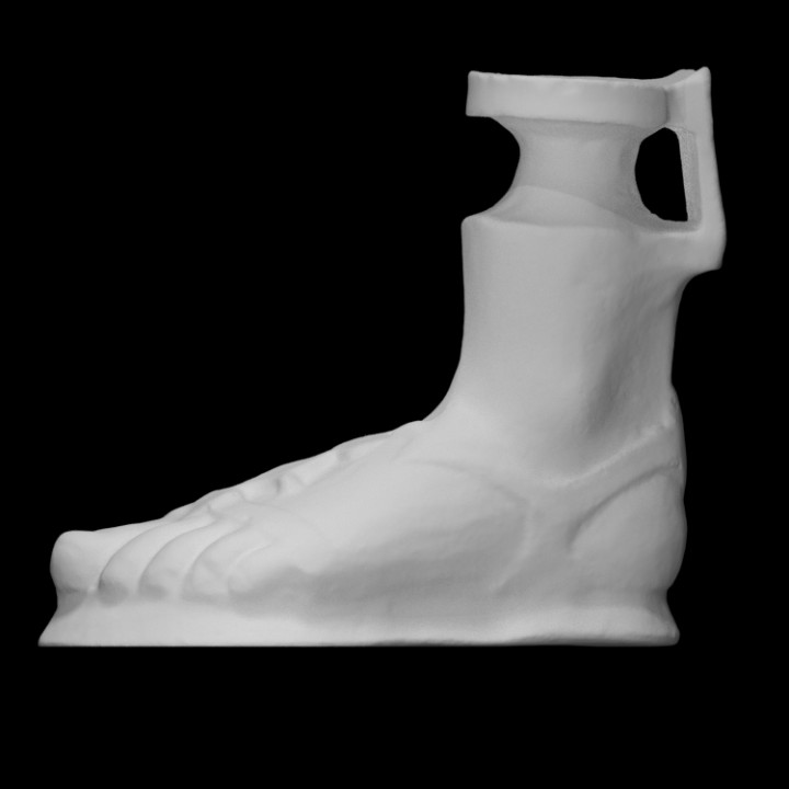 3D Printable Foot by Scan The World