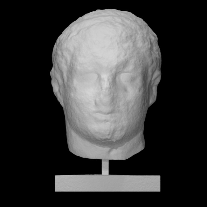 3D Printable Male head with fillet by Scan The World