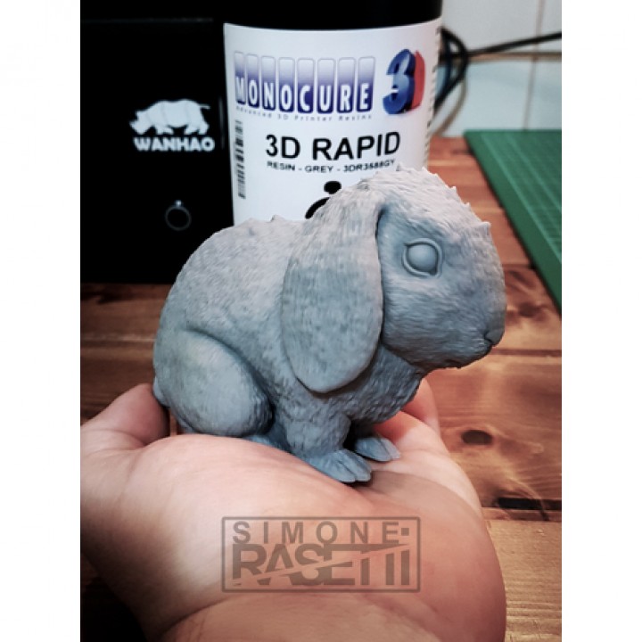 3D Printable Rabbit by Simone Rasetti